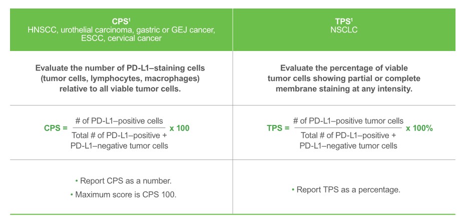 PD-L1 immunohistochemical test